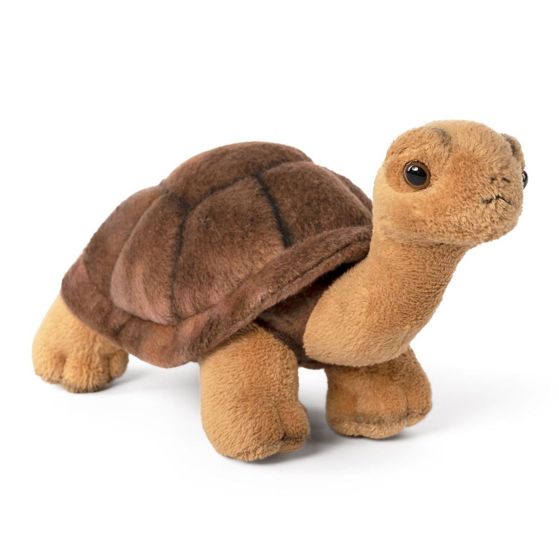 Soft Toy Tortoise by Living Nature 20cm AN726 Lincrafts