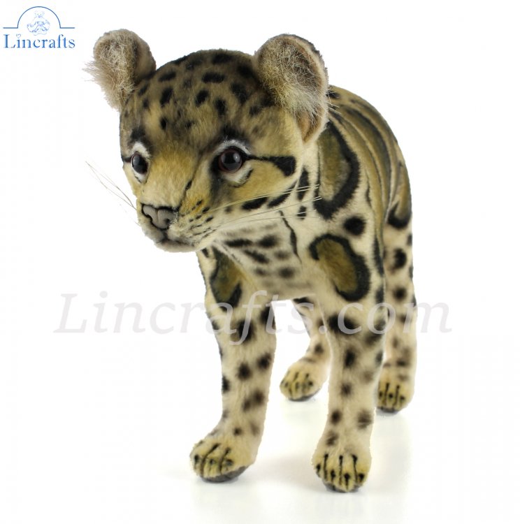 Clouded leopard plush store